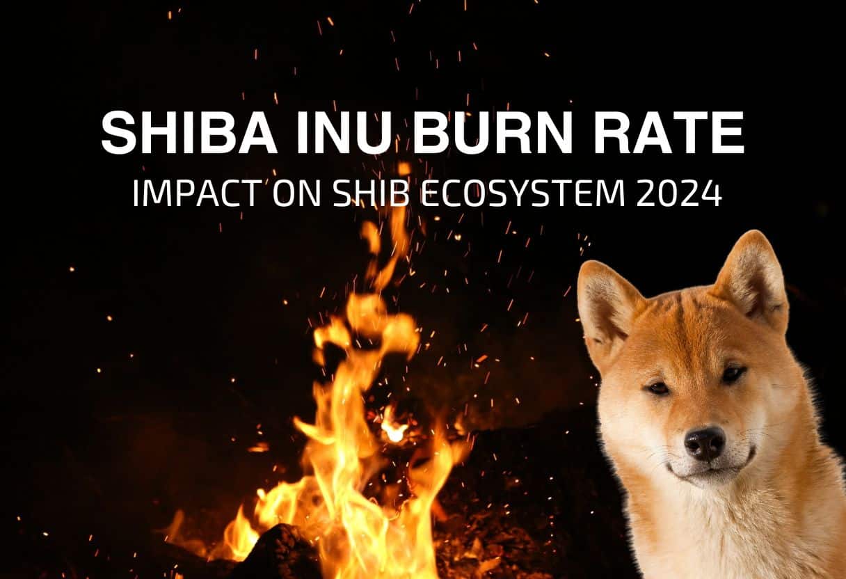 Shiba Inu Burn Rate: Impact on SHIB Ecosystem 2024